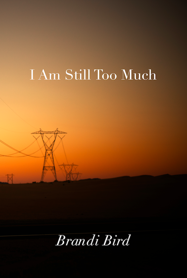 I Am Still Too Much by Brandi Bird – Rahila's Ghost Press